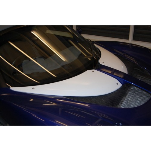 Lotus Exige front access panel covers